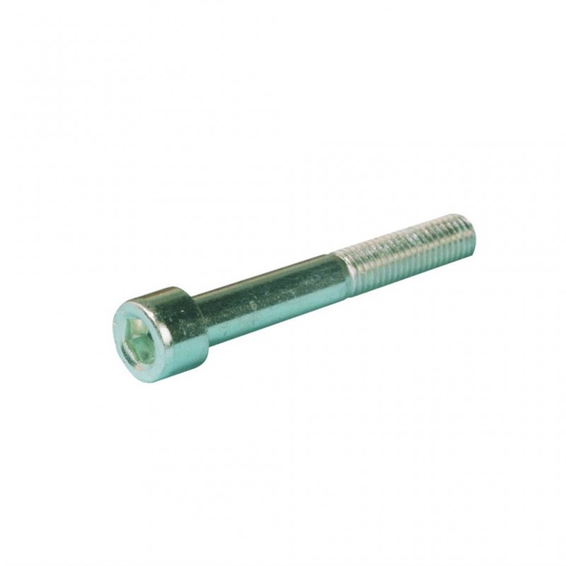 Inbusbout Din912 8.8 Ck M5X45Mm Elvz - 200 stuks kopen? | MijnIJzer...